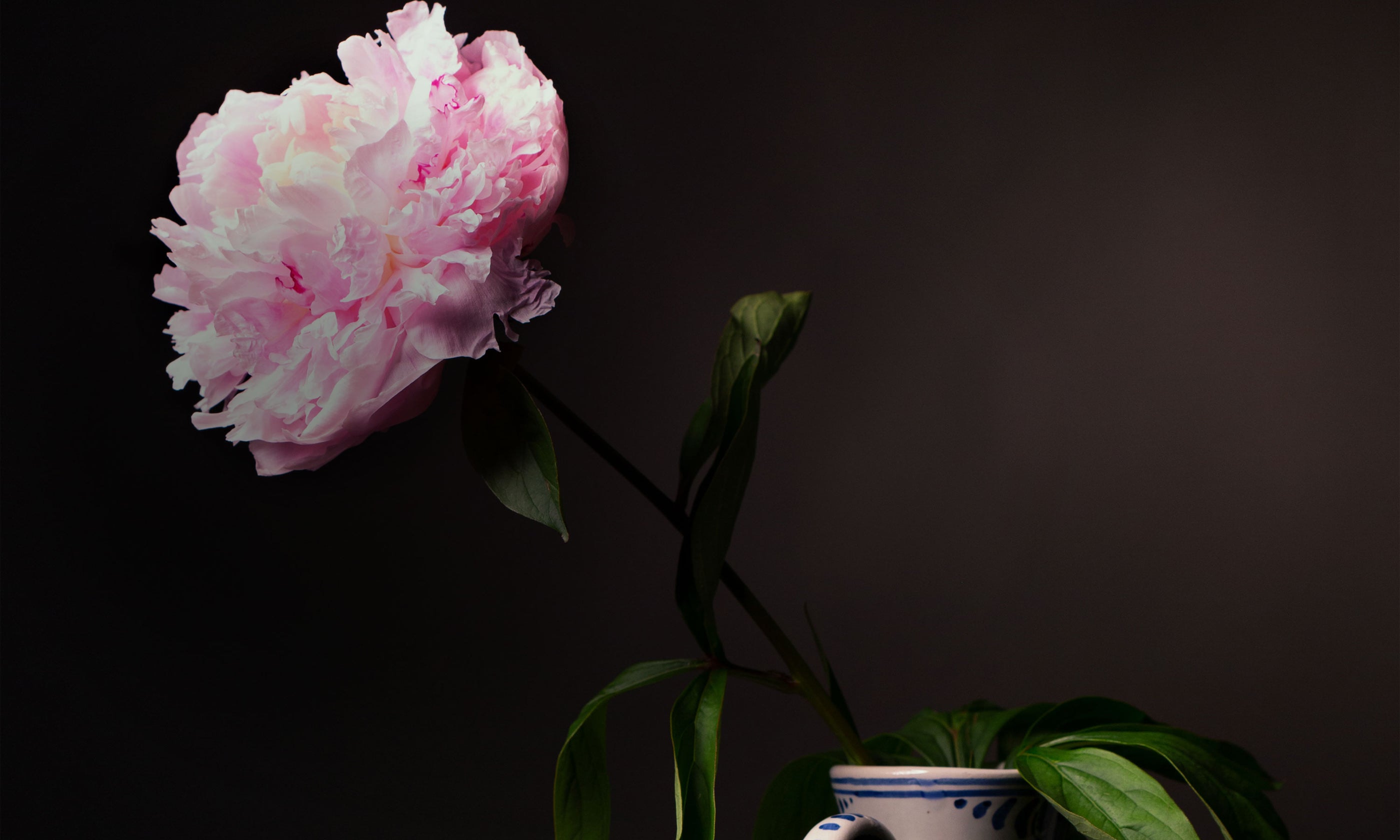 Diamond Detox Concentrate Alchemist Rose No. 98